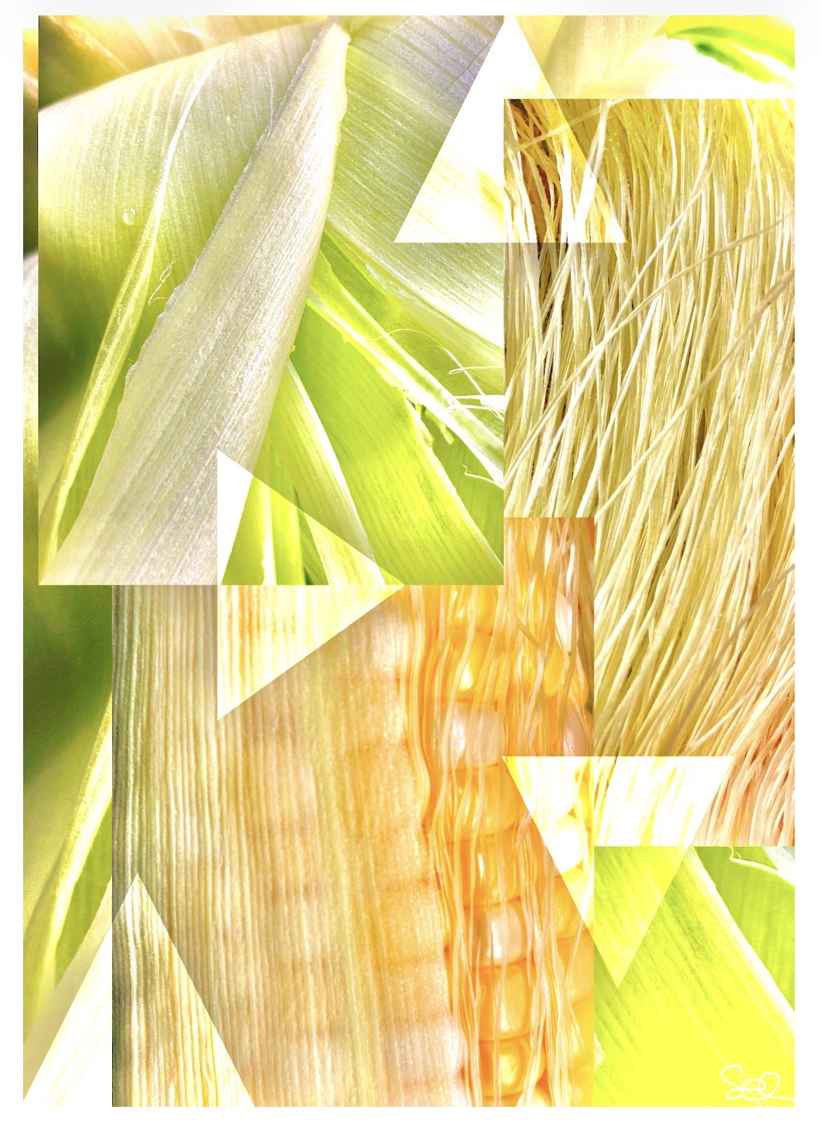 New Artwork: Celebrating The Autumn Cornucopia – Studio Shangri-La ...